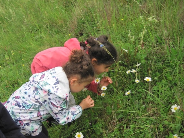 Classe nature : séjour et retour - parents ecole mode d emploi